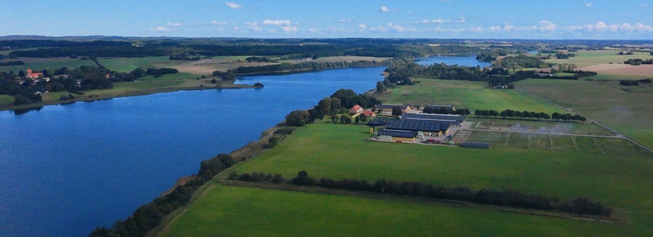 Ringsted By – Ringsted Kommune midt i Midtsjælland